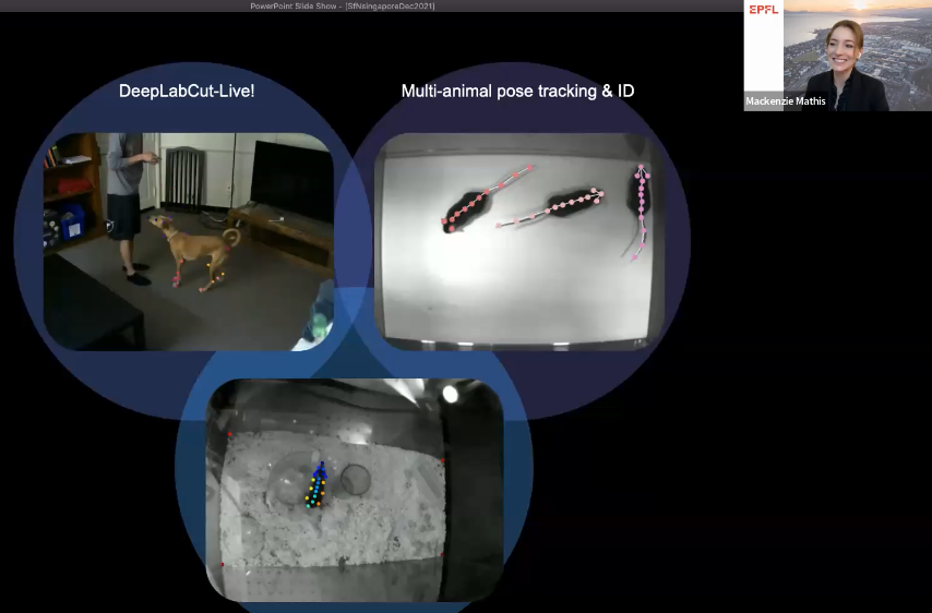 A Rousing Success: The Neuroscience Singapore Symposium 2021 - Society ...